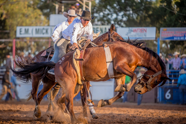 Normanton Rodeo 2016 - Image Gallery - Rodeo - Purple Fairy Imagery