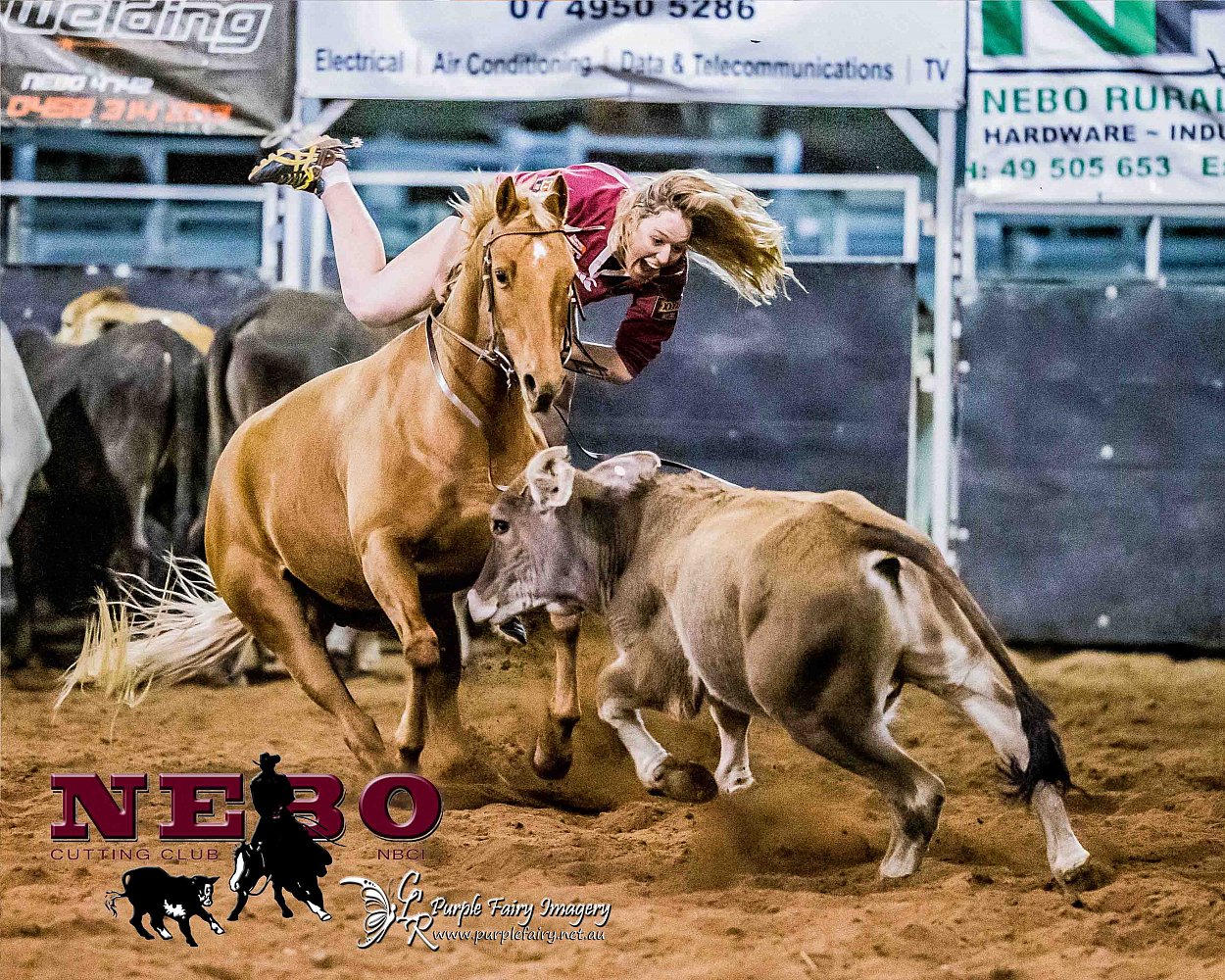 Nebo Cutting Show 2019 - Image Gallery - Cutting - Purple Fairy Imagery