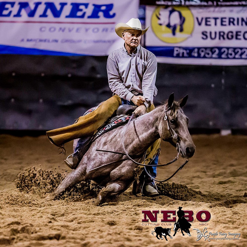 Nebo Cutting Show 2022 - Beljay Performance Horses - Image Gallery ...