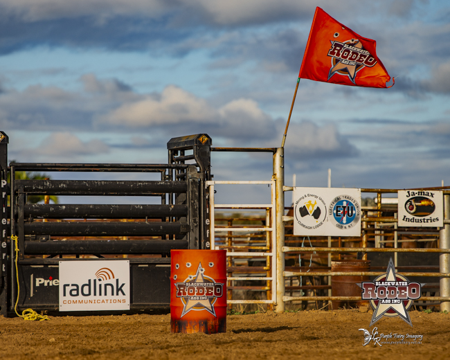 2024 Blackwater MEU May Day Rodeo - Titan Ind. Steer Wrestling - Image ...