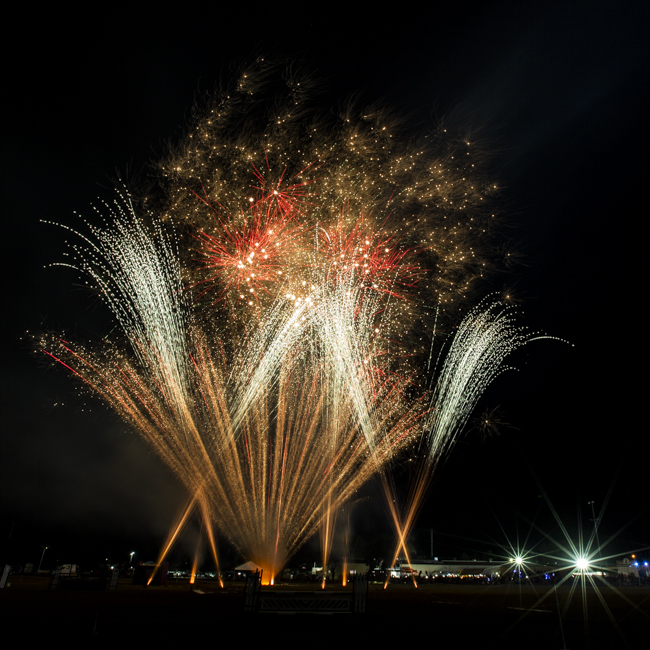 Emerald Show 2024 - Image Gallery - Other - Purple Fairy Imagery