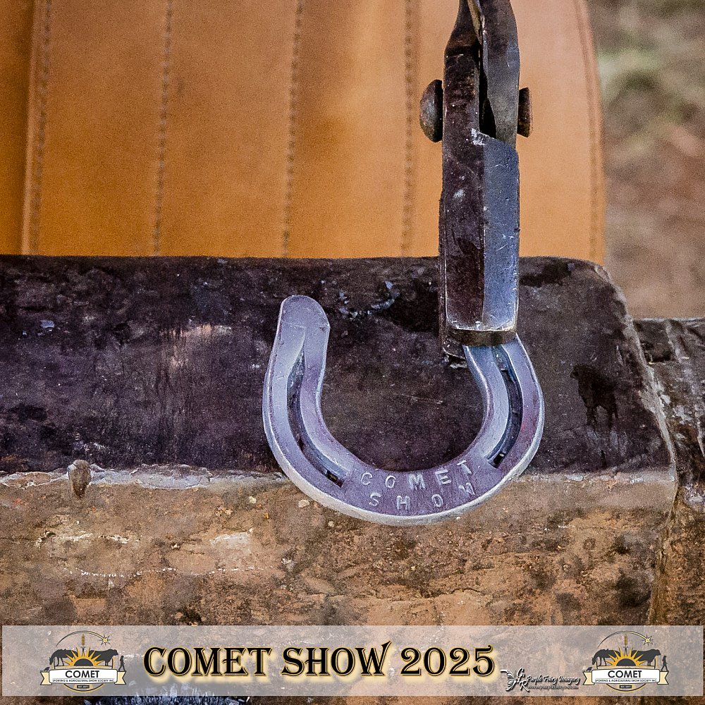 Comet Show 2025 - Image Gallery - Other - Purple Fairy Imagery